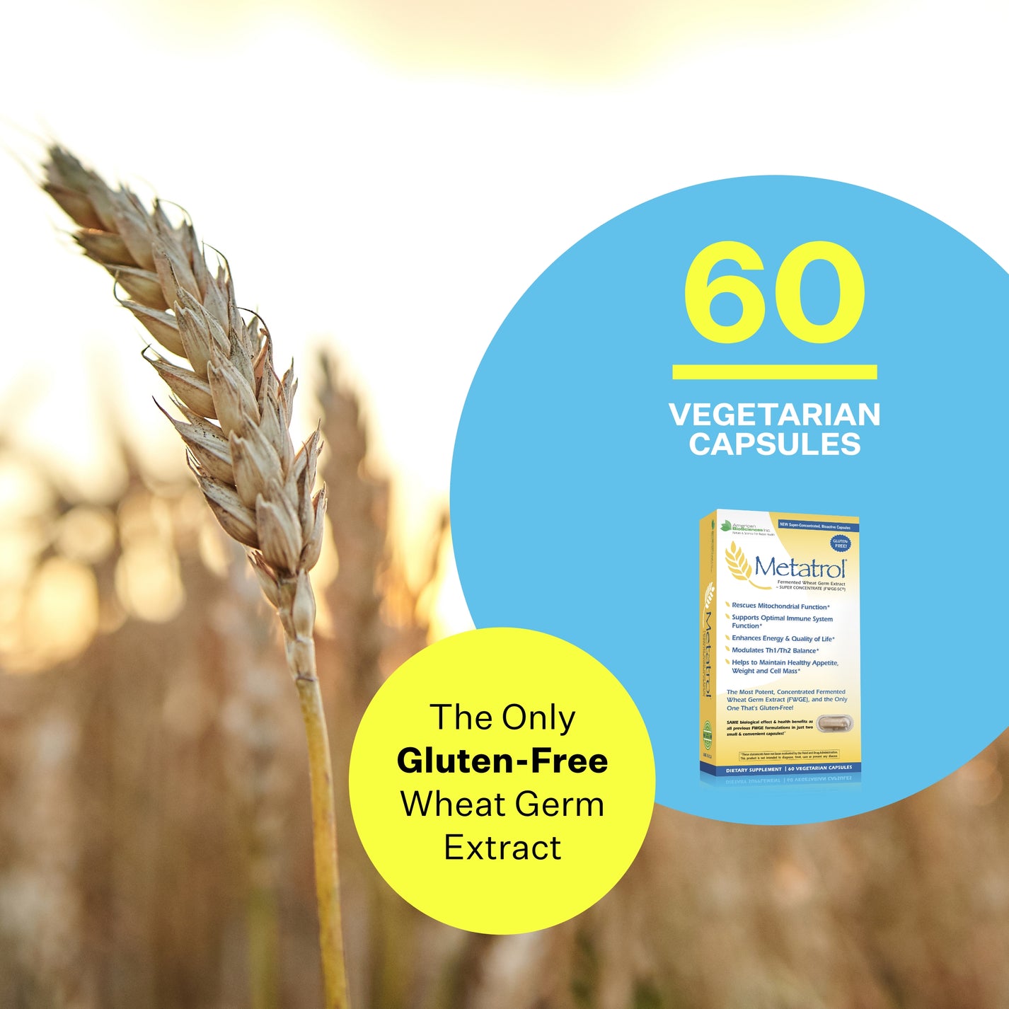 Fermented Wheat Germ Extract Powerful Mitochondrial Support - The ...